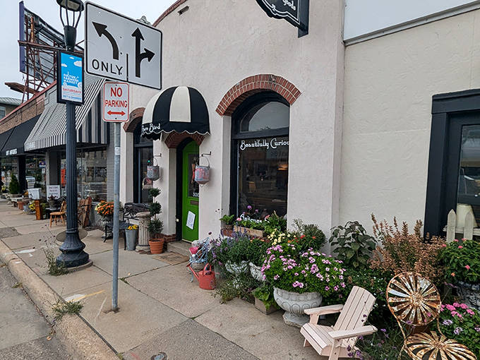 From the street, A Rare Bird presents an inviting fa&ccedil;ade that promises treasures within &ndash; note the charming planters flanking the entrance.
