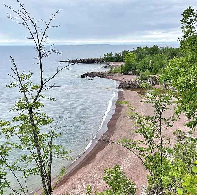 The Agate Beach overlook offers a panoramic feast where forest meets freshwater in dramatic fashion.