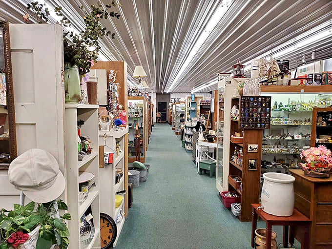 Endless aisles of possibility stretch before you, each one a rabbit hole of nostalgia where time seems to stand perfectly still.