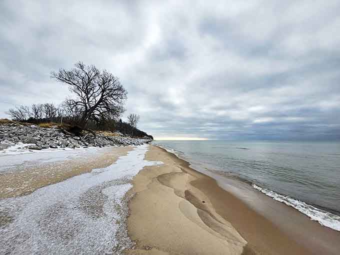 Winter transforms this Lake Michigan shoreline into a serene wonderland where footprints tell stories of solitary beach wanderers.