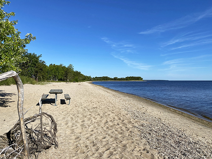 The view here rivals ocean coastlines, minus the sharks and overpriced beachfront cocktails you didn't really want anyway.