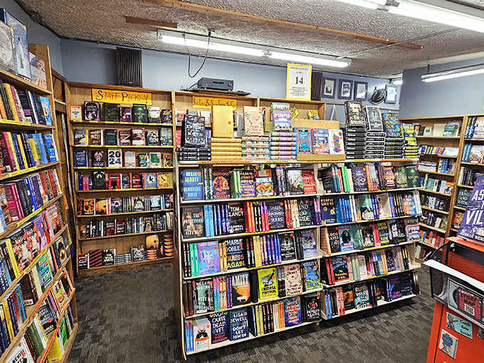 Floor-to-ceiling shelves create literary canyons to explore, with colorful spines forming a rainbow road map to countless worlds and ideas.