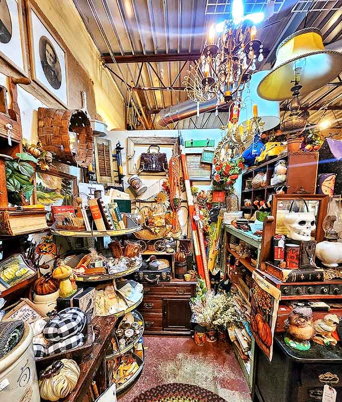 Navigate this organized chaos of vintage wonders where every turn reveals new treasures and each shelf holds stories waiting to be discovered.
