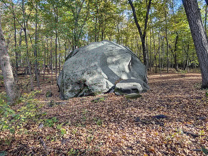 This massive glacial erratic stands as a silent witness to ice ages past &ndash; nature's sculpture garden at its finest.