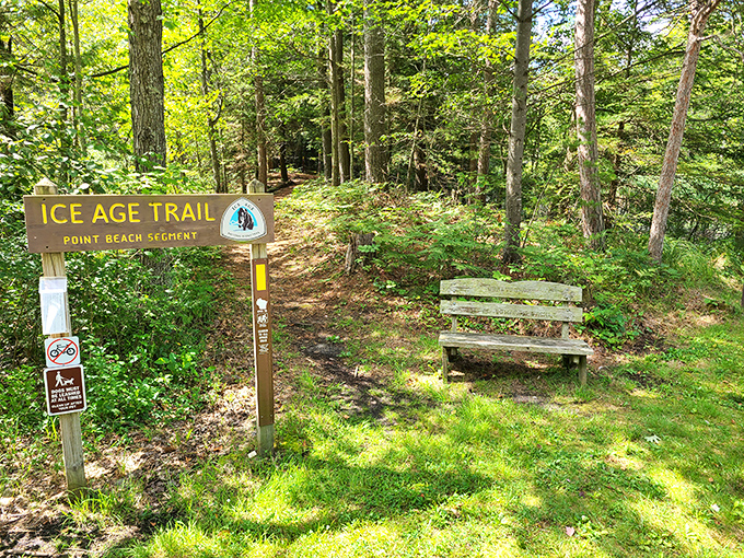 The Ice Age Trail beckons adventurers into the forest, promising a journey through time without the hassle of building a time machine.