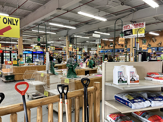 Step inside and prepare for sensory overload! Aisles stretch like wilderness trails, each promising new discoveries and potential adventures for outdoor enthusiasts.