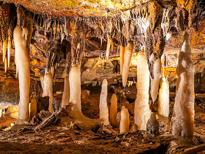 Stalactites and stalagmites create a forest of stone, like nature's own sculpture garden that took millennia to complete.