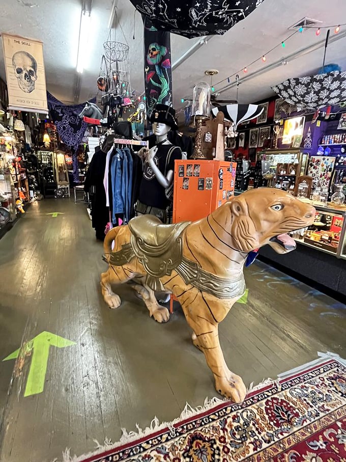 Inside The Secret Chamber, every surface competes for your attention like a carnival barker on espresso, and somehow it all works together in glorious, chaotic harmony.