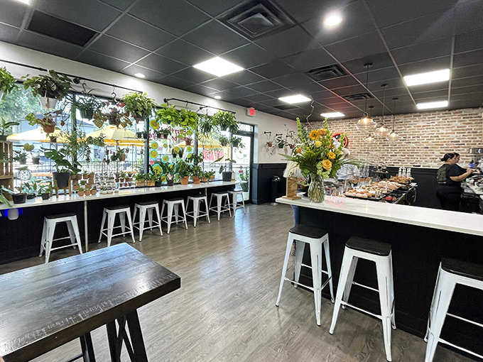 Inside DG Doughnuts, hanging plants and exposed brick create a modern-rustic vibe that's as carefully crafted as their pastries.