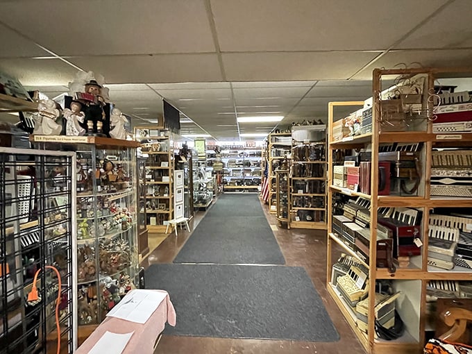 Step into accordion paradise! Rows upon rows of musical treasures await discovery in this uniquely specialized collection.