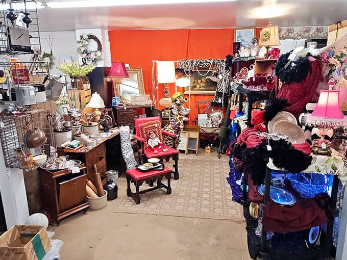 Step inside and discover a wonderland of organized chaos where every corner reveals new treasures waiting to be discovered.