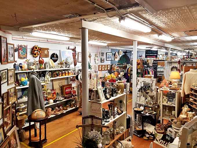 Every shelf tells a story—vintage collectibles arranged with loving care create a visual feast for treasure hunters and nostalgia seekers.