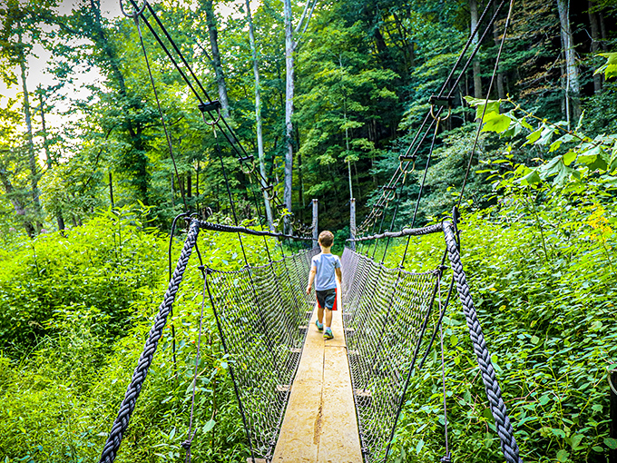 Childhood wonder in motion &ndash; this little explorer reminds us that the best trails are measured not in miles, but in moments of wide-eyed discovery.