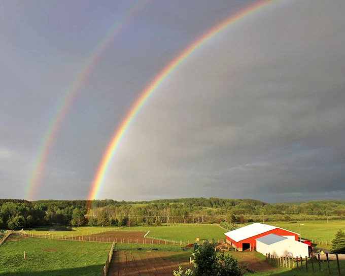Nature's seal of approval: A perfect double rainbow arches over Kiwidinok Farm, creating a magical backdrop for these exotic animals.