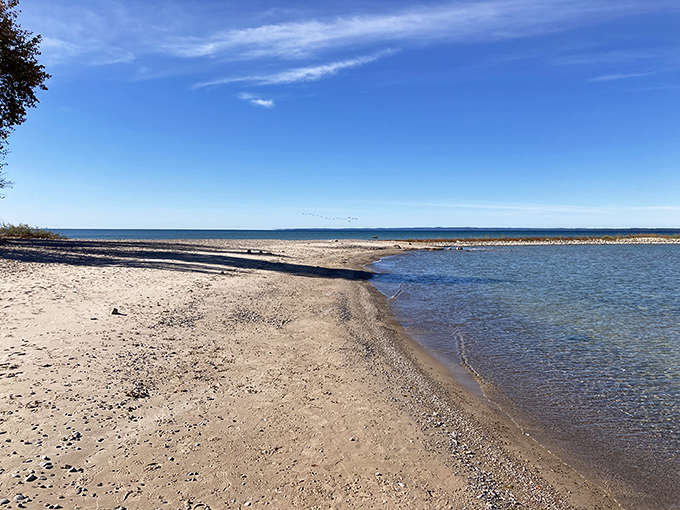 Sandy shores stretch for days at this hidden Charlevoix gem. Your beach towel finally has room to breathe.