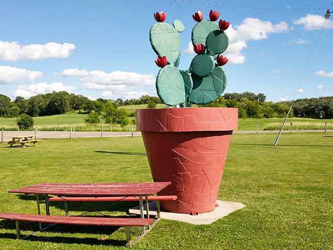 Blooming where it's planted, this oversized potted cactus brings desert charm to the Midwest, complete with vibrant red flowers.