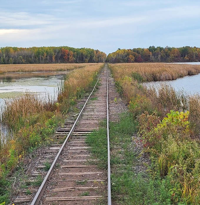 Railroad tracks stretch into infinity between marshlands, creating nature's perfect symmetry and a pathway to wilderness exploration.
