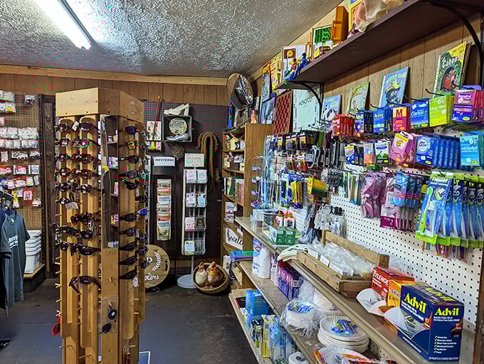 Retail Shelves: Where Advil meets nostalgia on wooden shelves that have witnessed decades of "I just need one thing" turning into full baskets.