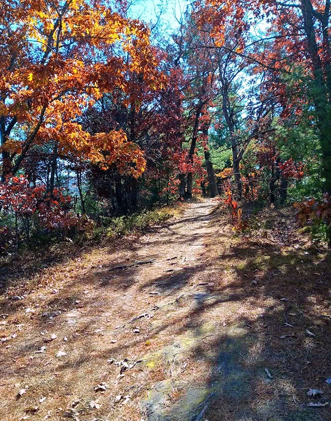 Autumn paints the trail with golden light, creating a path that seems to lead straight into a fairy tale.