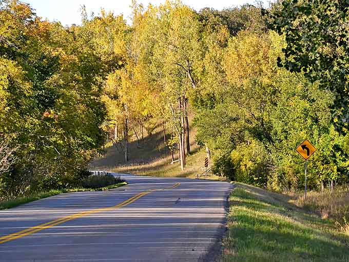 Autumn transforms the byway into nature's art gallery, where winding roads cut through a tapestry of golden trees and rolling hills.