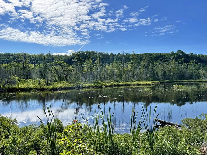 Lake Superior's mirror-perfect reflection creates a scene so serene, you'll want to whisper so you don't disturb the water's meditation session.