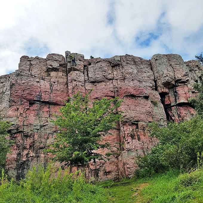 These ancient Sioux Quartzite cliffs aren't just rocks &ndash; they're 1.6-billion-year-old geological celebrities strutting their stuff against the Minnesota sky.