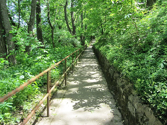Forest trails that make you forget you're in Ohio, in the best possible way, with shade and serenity included.