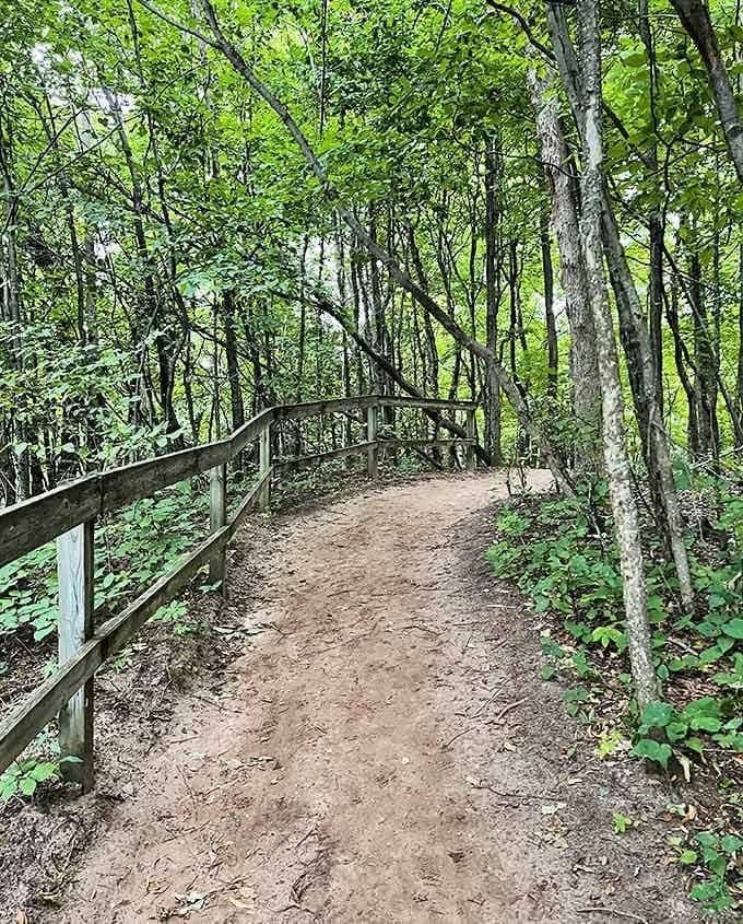 Forest tunnels like this make you half expect woodland creatures to break into song, Disney-style, while leading you toward lakeside magnificence just ahead.
