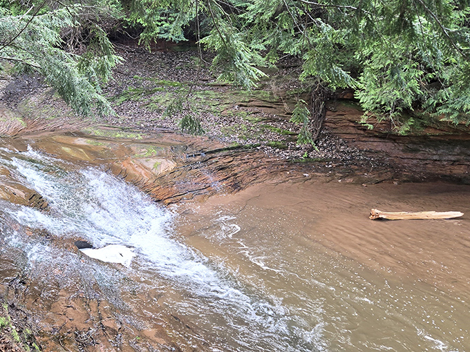 Nature's tea party: The distinctive amber waters of Lost Creek tumble over smooth stones, colored by natural tannins from the forest floor.