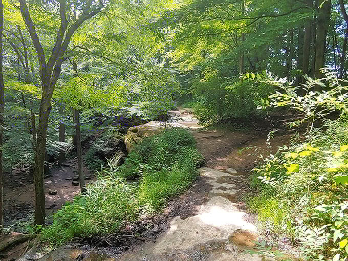 The trail to discovery winds through dappled sunlight and verdant foliage, each step bringing you closer to Ohio's hidden waterfall treasure.