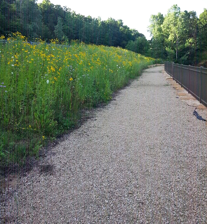 The well-maintained walkway invites visitors of all ages to explore, no mountain-climbing skills or emergency oxygen required.