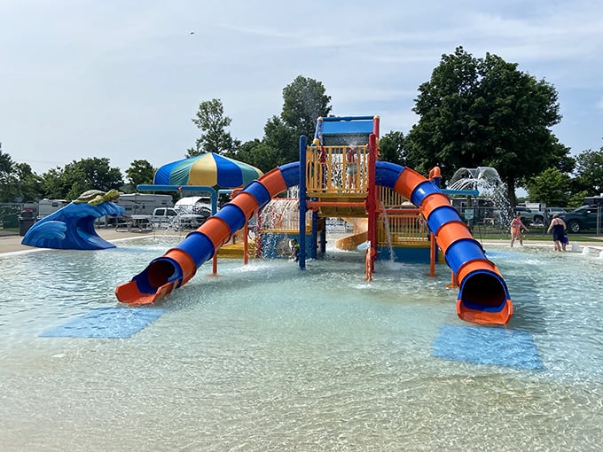 Twisting tubes of joy where physics and courage meet. The colorful slides promise thrills that'll have both kids and adults forgetting their indoor voices.
