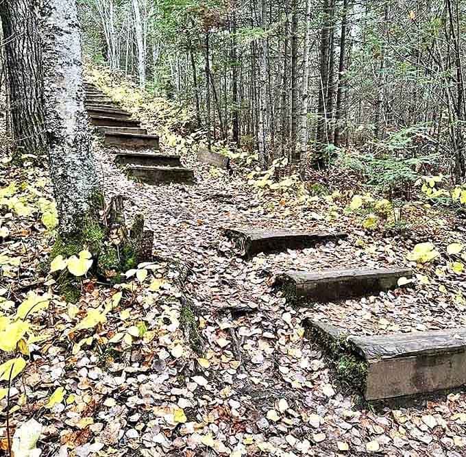 These wooden stairs aren't just steps &ndash; they're storytellers, each one worn smooth by thousands of adventurers seeking that perfect view.