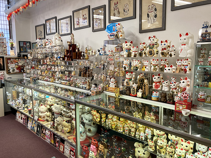 Thousands of Maneki Neko line the display cases, each waving paw offering a different kind of luck to mesmerized visitors.