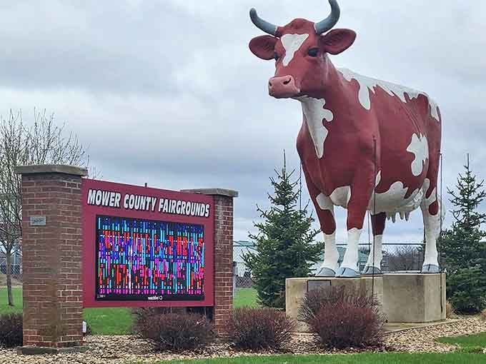 Morning light catches Buffy's red coat, highlighting the craftsmanship that's made her an Austin landmark since 1966.