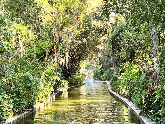 Serenity flows: The narrow canal stretches ahead like a green ribbon, promising discoveries around each verdant bend.