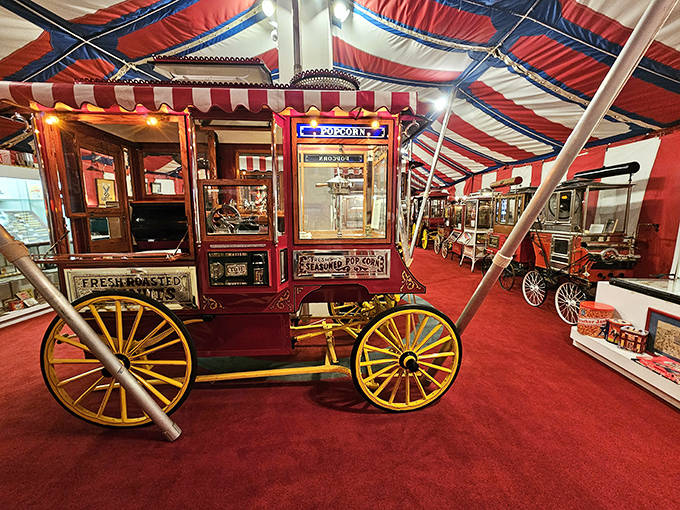 This isn't just any popcorn cart&mdash;it's a time machine on wheels! Meticulously restored vintage wagons like this once rolled through America's streets, bringing joy one kernel at a time.