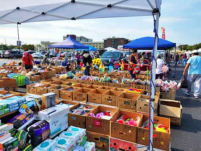 These whirling wonders spin joy into your garden, proving that happiness sometimes comes on a stick.