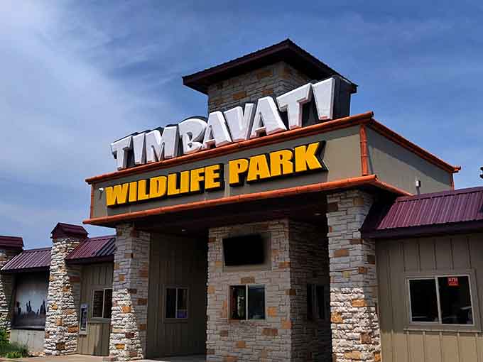 The impressive stone entrance to Timbavati Wildlife Park stands as a gateway between the everyday and the extraordinary.