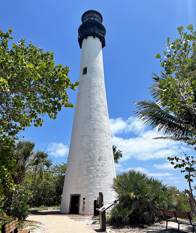 Reaching skyward at 95 feet, this historic sentinel has weathered hurricanes, wars, and time itself since its 1855 reconstruction.