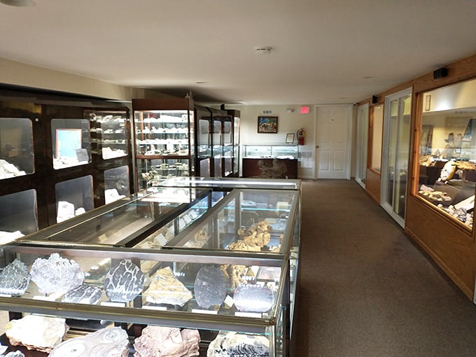Step inside and enter a geological wonderland where every display case tells Earth's ancient stories through sparkling specimens.