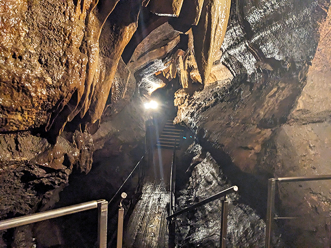 Nature's own cathedral: Light plays across ancient limestone walls, creating a subterranean spectacle millions of years in the making.