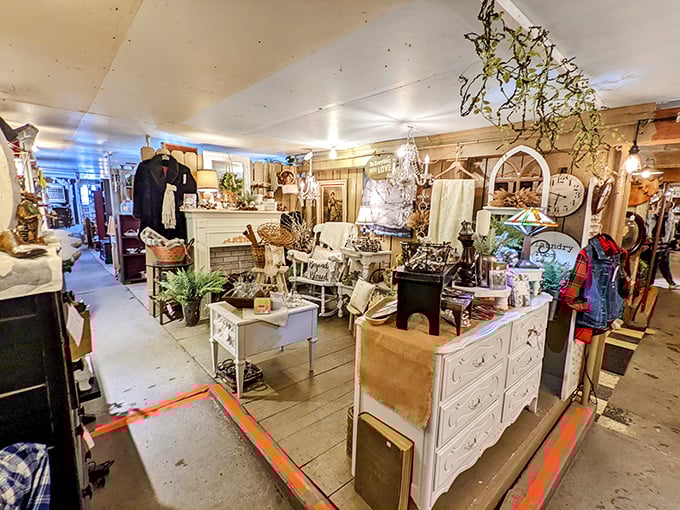 Step inside and lose yourself in aisles of carefully arranged treasures &ndash; where every turn reveals another decade's worth of memories waiting to be adopted.