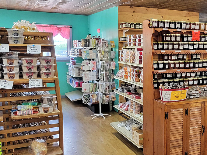 Shelves lined with homemade jams, bulk foods, and crafts create a colorful tapestry of traditional Amish pantry staples.