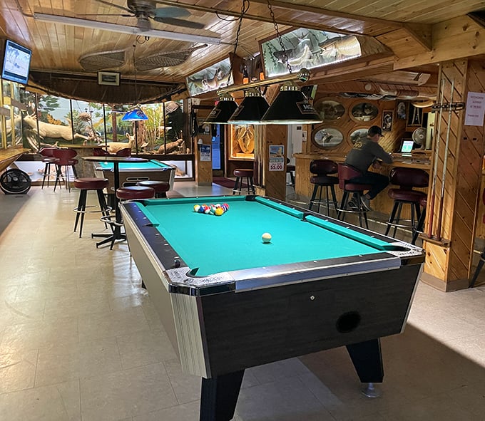 Pool tables surrounded by taxidermy displays create a surreal gaming experience. Sink the eight ball while wildlife watches your every move!