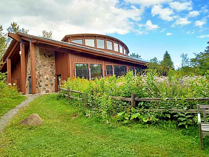 The nature center's distinctive architecture blends seamlessly with its surroundings, like a cozy woodland cabin that graduated to something grander.