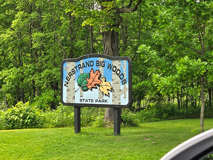 The welcoming sign to Nerstrand Big Woods – where the trees stand taller and the air smells better than your everyday life.