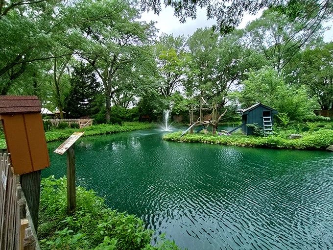 Tranquil waters reflect the lush greenery surrounding this peaceful pond, offering a serene contrast to the excitement elsewhere in the park.