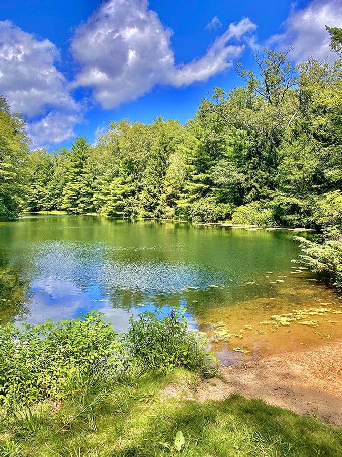 This spring-fed pond offers water so clear you'll wonder if someone installed a filter, but nope, nature just does it better.