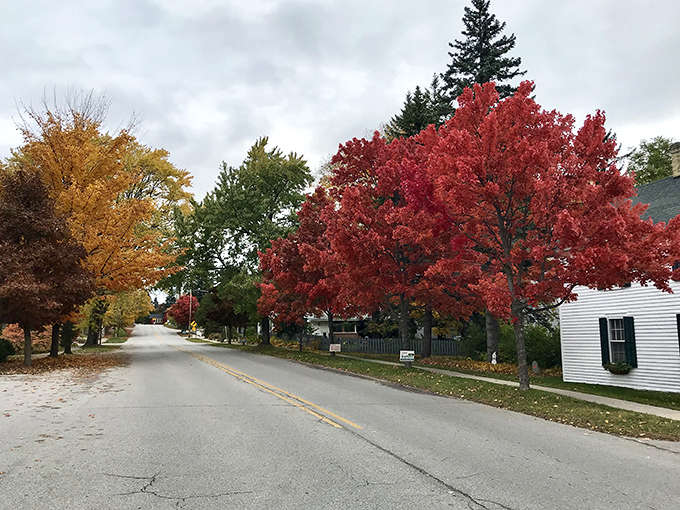 Fall transforms Northport's streets into a painter's palette, proving that Michigan's autumn game is seriously underrated and absolutely Instagram-worthy.